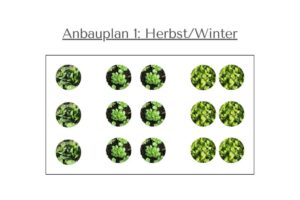 Anbauplan Balkon-Hochbeet - so dreimal im Jahr pflanzen!